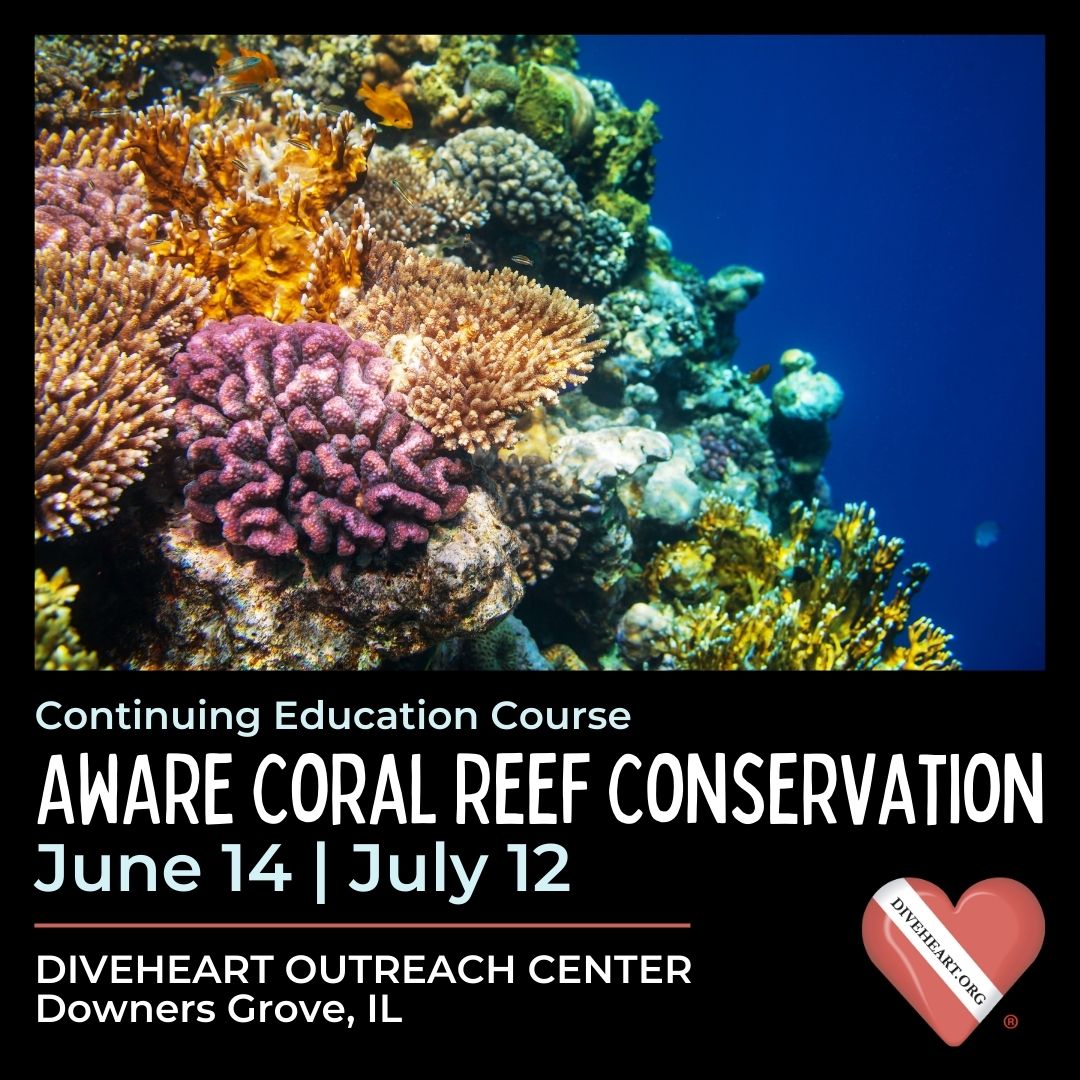 Events from September 9 – September 27 – Downtown Downers Grove ...